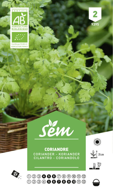 CORIANDRE BIO | SEM