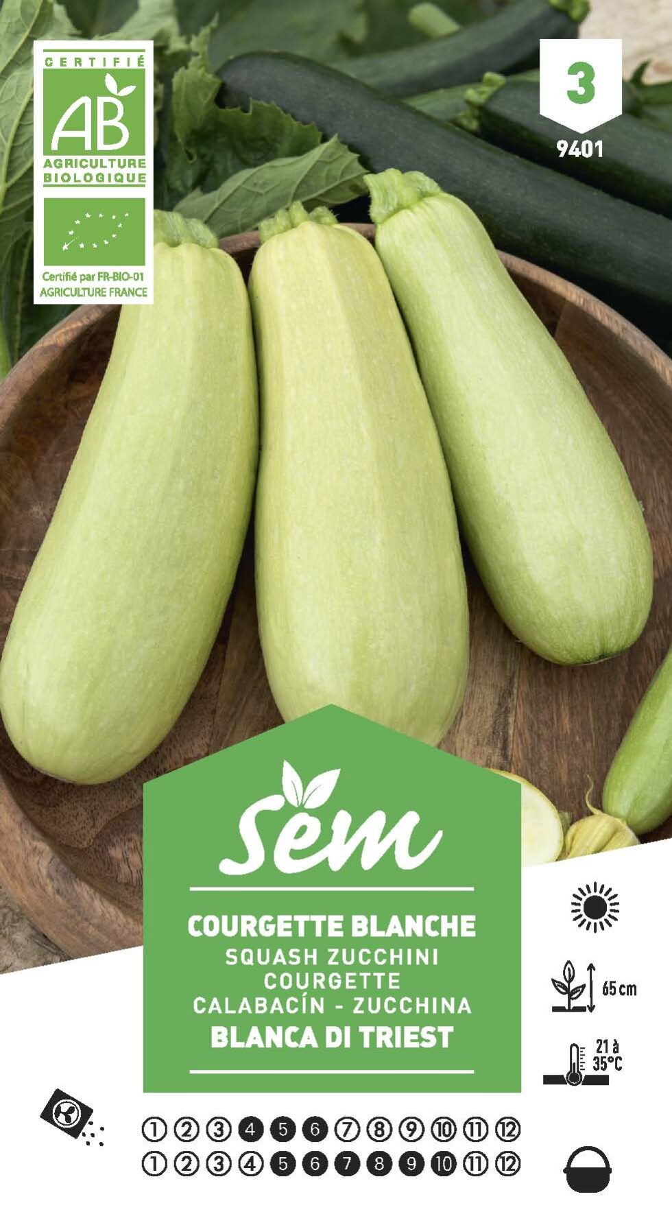 COURGETTE BLANCHE BLANCA DI TRIEST BIO | SEM