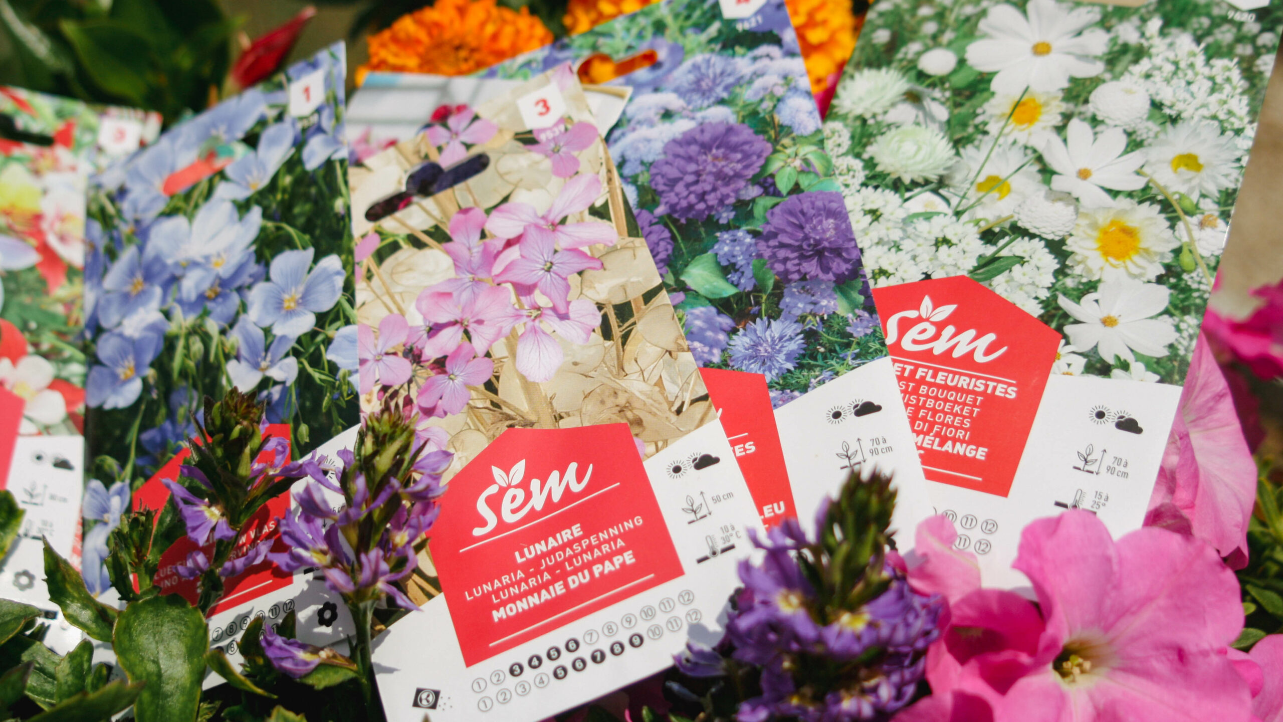 SEMENCES FLORALES | SEM