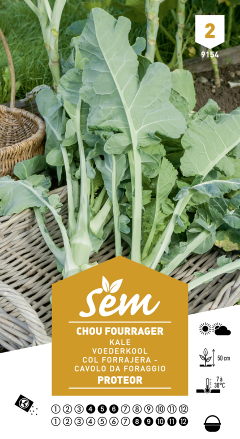 CHOU FOURRAGER PROTEOR | SEM
