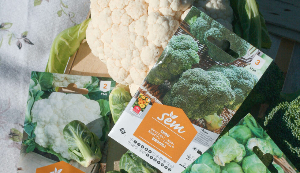 SEMENCES POTAGÈRES | SEM